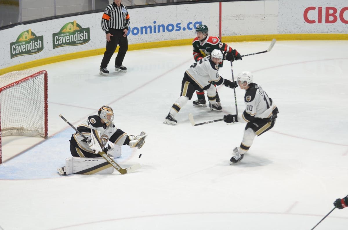 Goaltender Carter Bickle finds a home with young Charlottetown ...