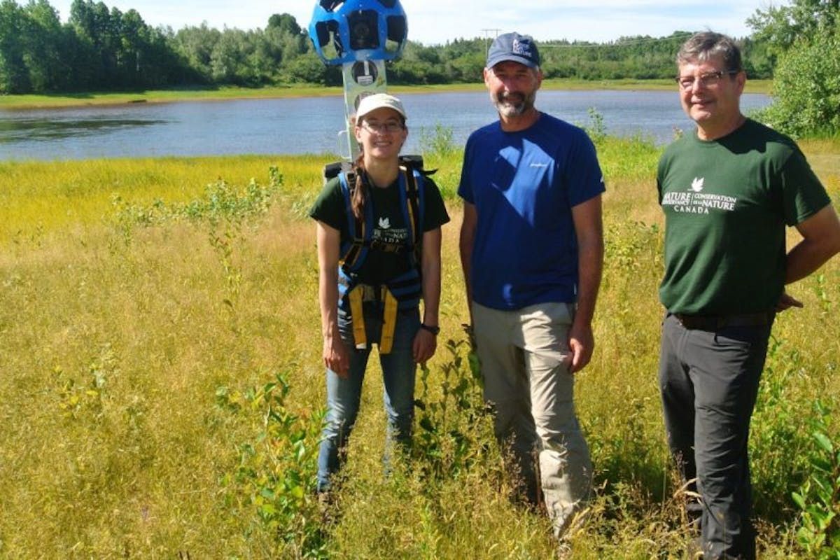 Google maps Pugwash Estuary trail Gallery | PNI Atlantic News