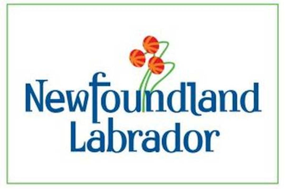 Robert Gardiner appointed deputy minister of Department of Education ...