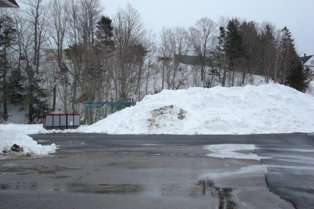 Great Village Notebook: West Colchester residents joining forces to ...