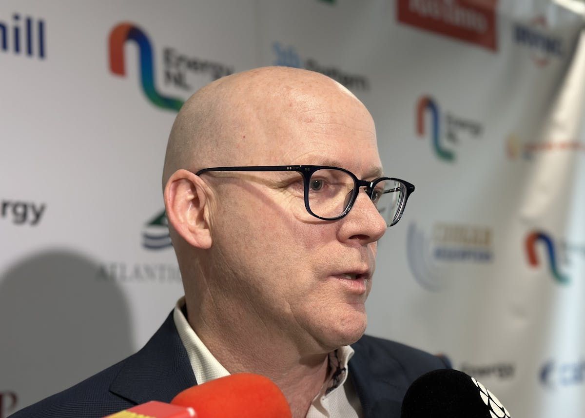 Green transition needs diesel generators, Newfoundland Power CEO says ...