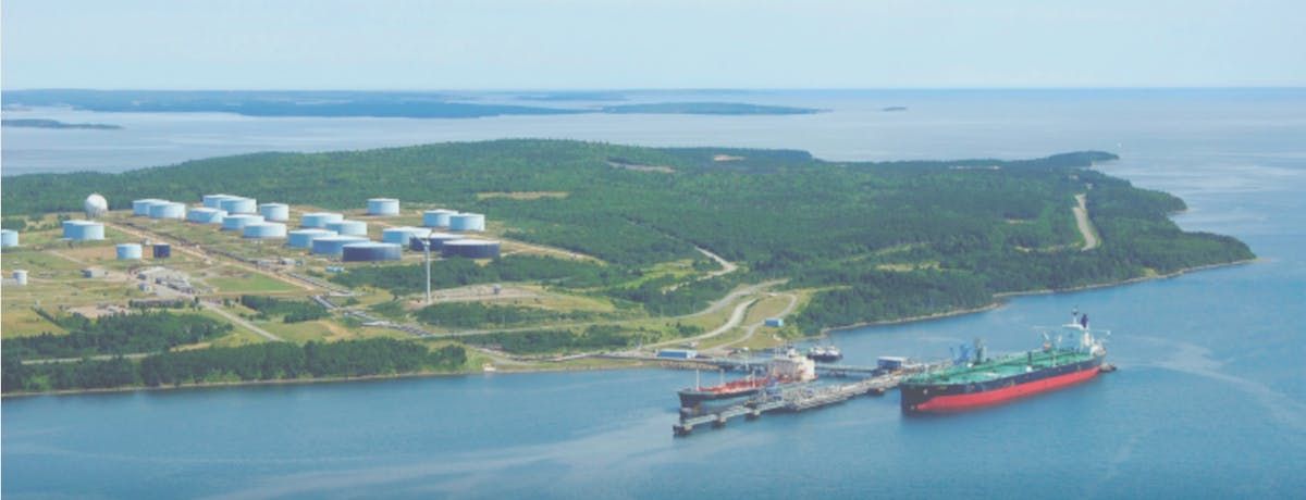 Greener pastures: Busy 2023 in Point Tupper paving road for further ...