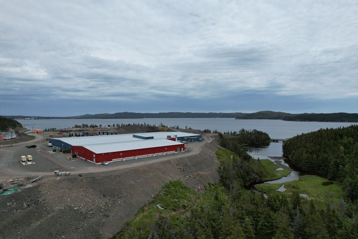 Grieg Seafood ramps up investment in Newfoundland while it holds back ...