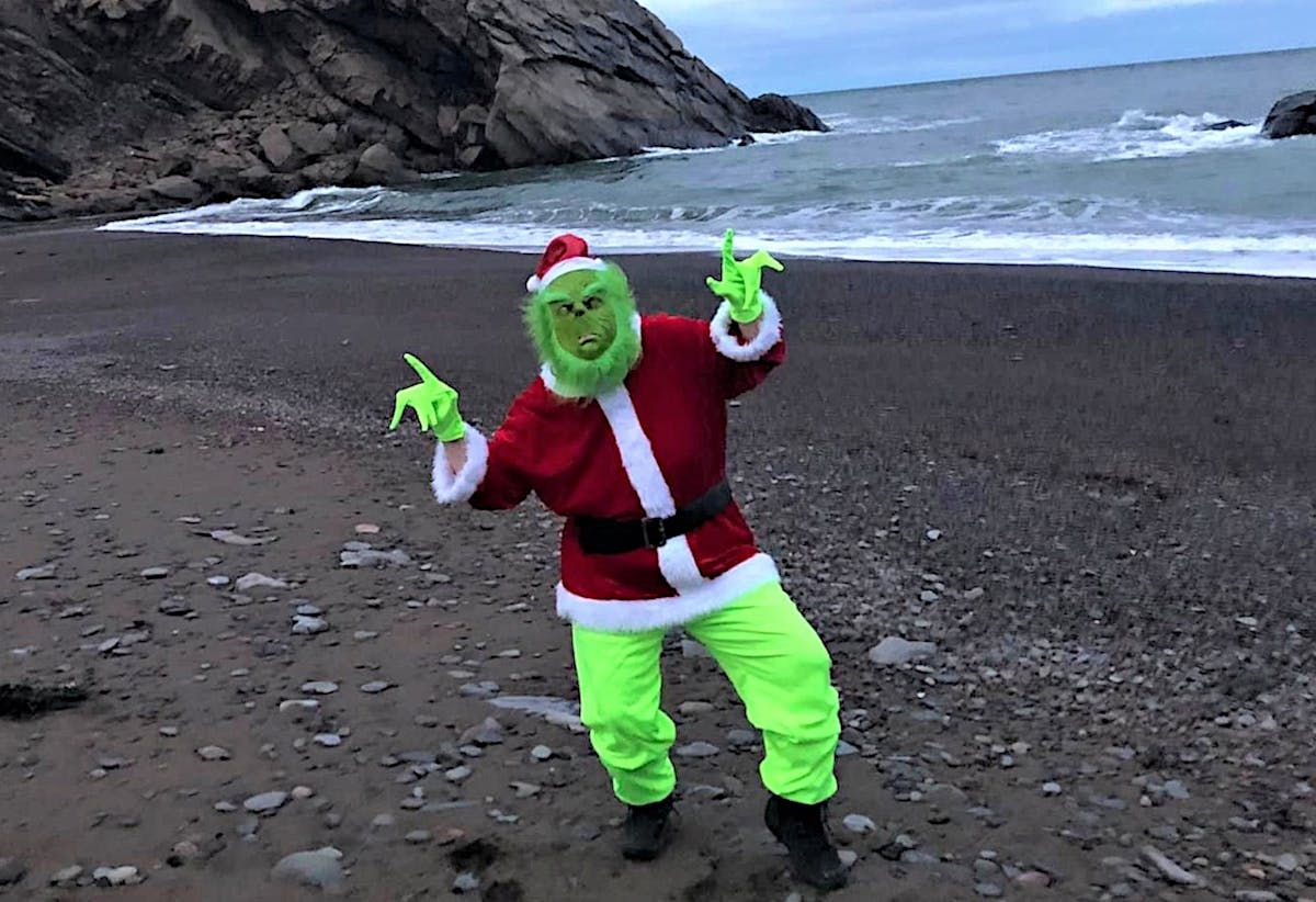 Grinch found on Cape Breton beach | PNI Atlantic News