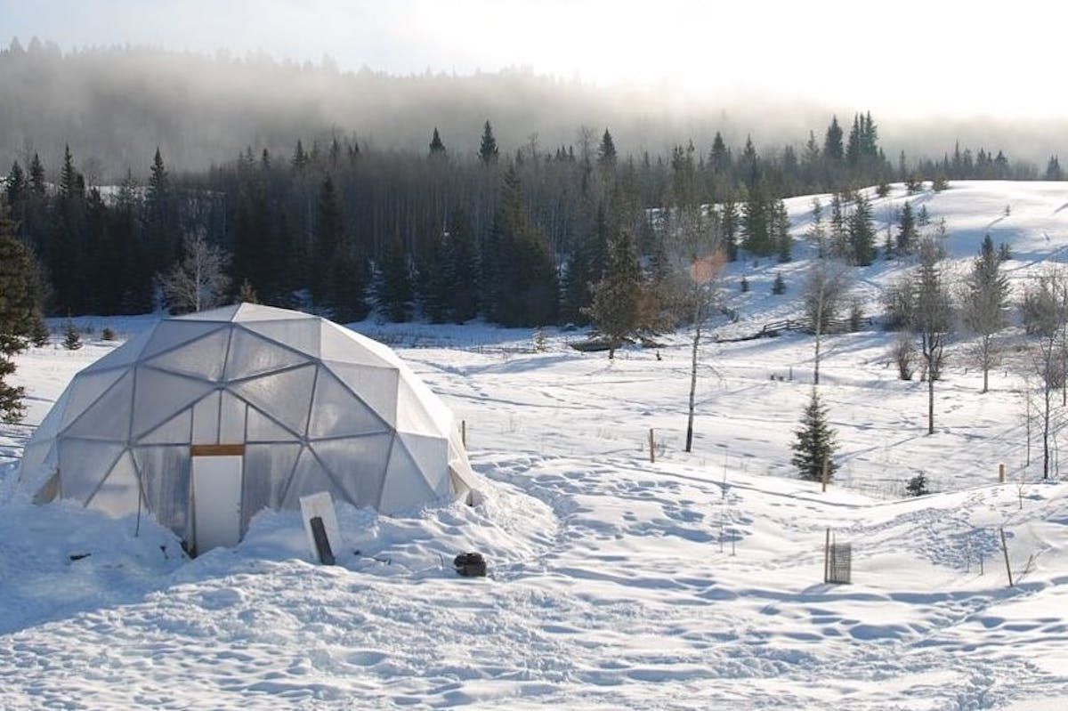 Growing opportunity: Corner Brook collaboration sets up geodesic ...