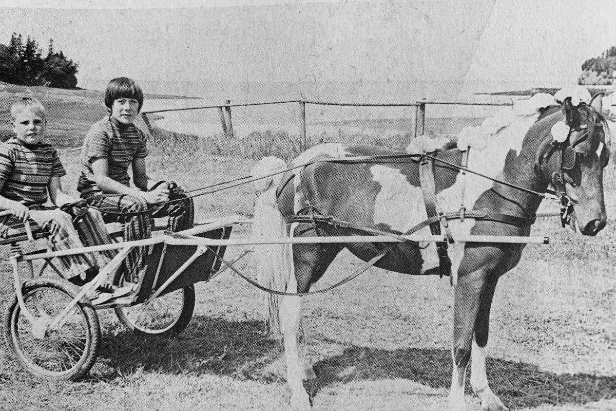 HANTS HISTORY: Mid-Fall 2023 edition | PNI Atlantic News