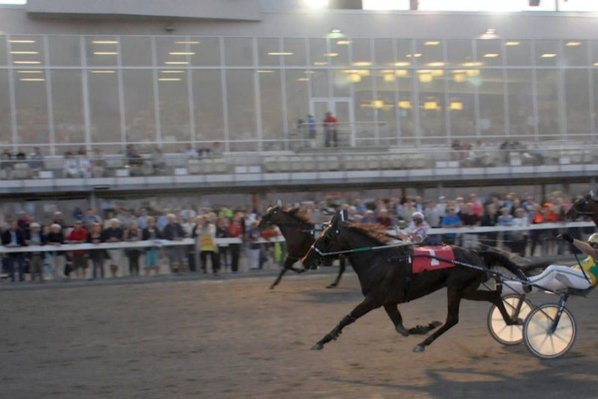 Jamieson wins National Driving Championship at CDP Gallery | PNI ...