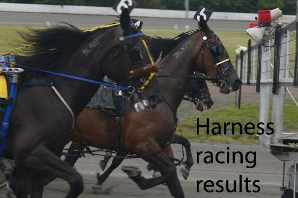 Cartoon Daddy prevails in CDP feature | PNI Atlantic News