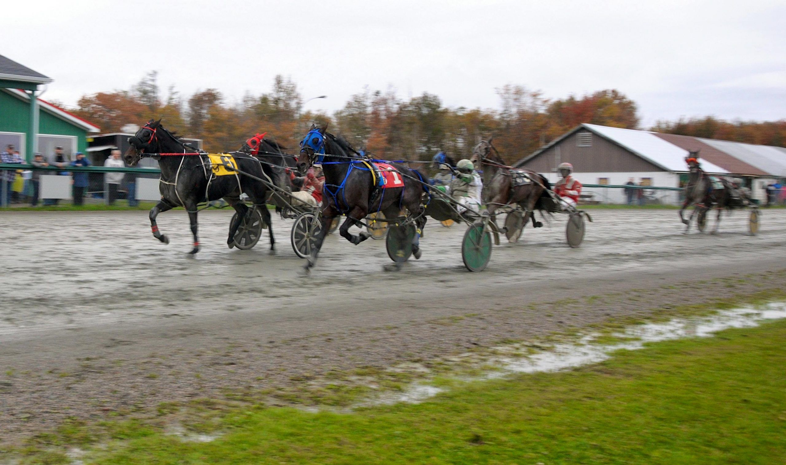 HARNESS RACING: Hugh Heff stretches win streak to eight at Northside ...