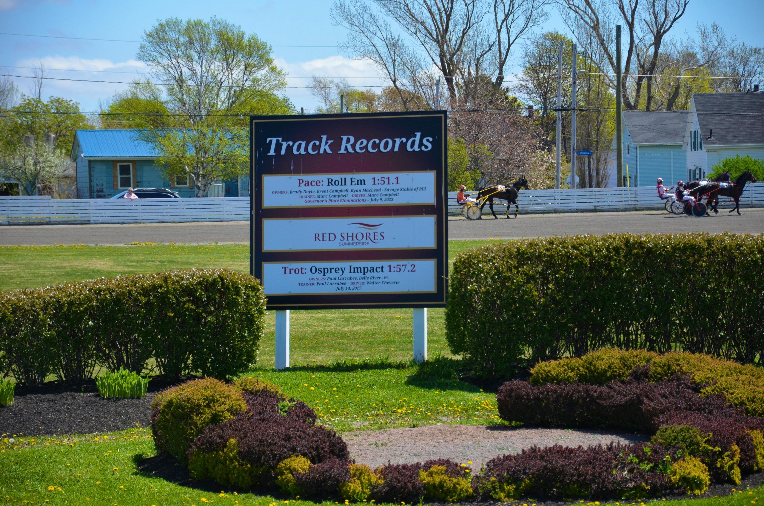 HARNESS RACING: Track records fall in Summerside | PNI Atlantic News