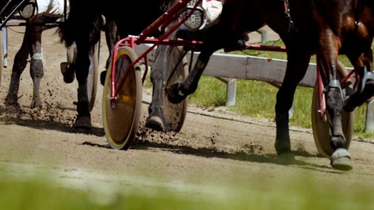 HARNESS RACING: Atlantic Sires Stakes three-year-old fillies shine at ...