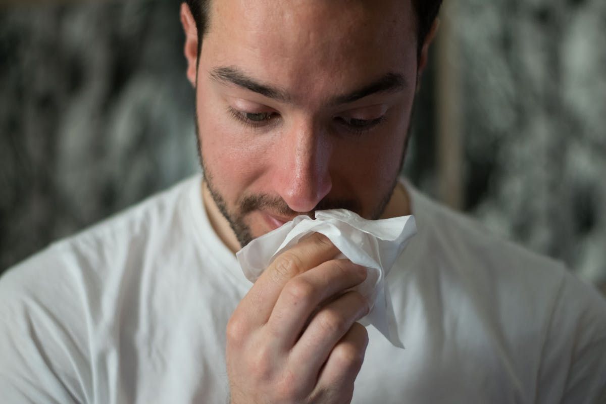 HOW TO: Something to sneeze at — spring is in full swing and so are the ...