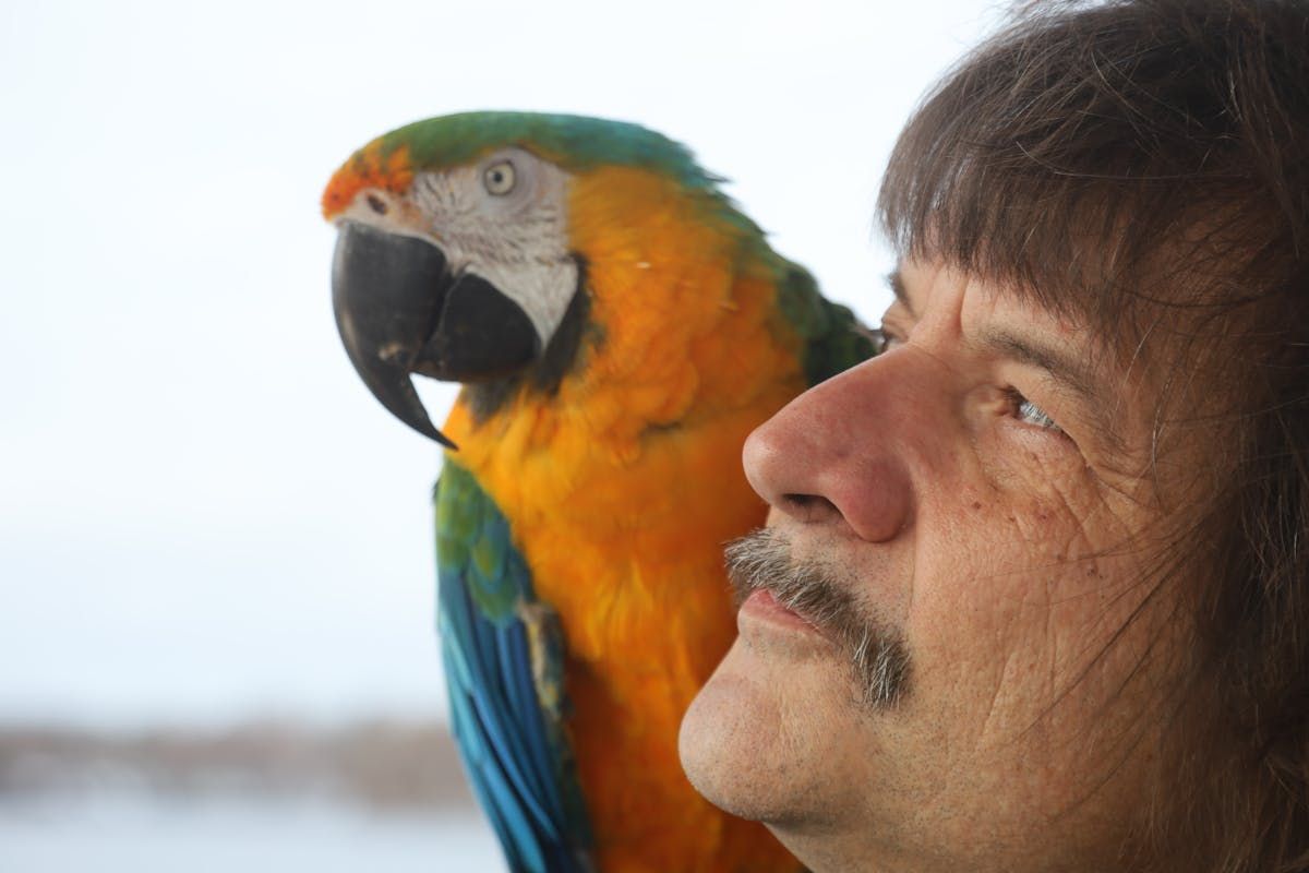 Meet Allie, Nova Scotia's 45-year-old celebrity parrot | PNI Atlantic News