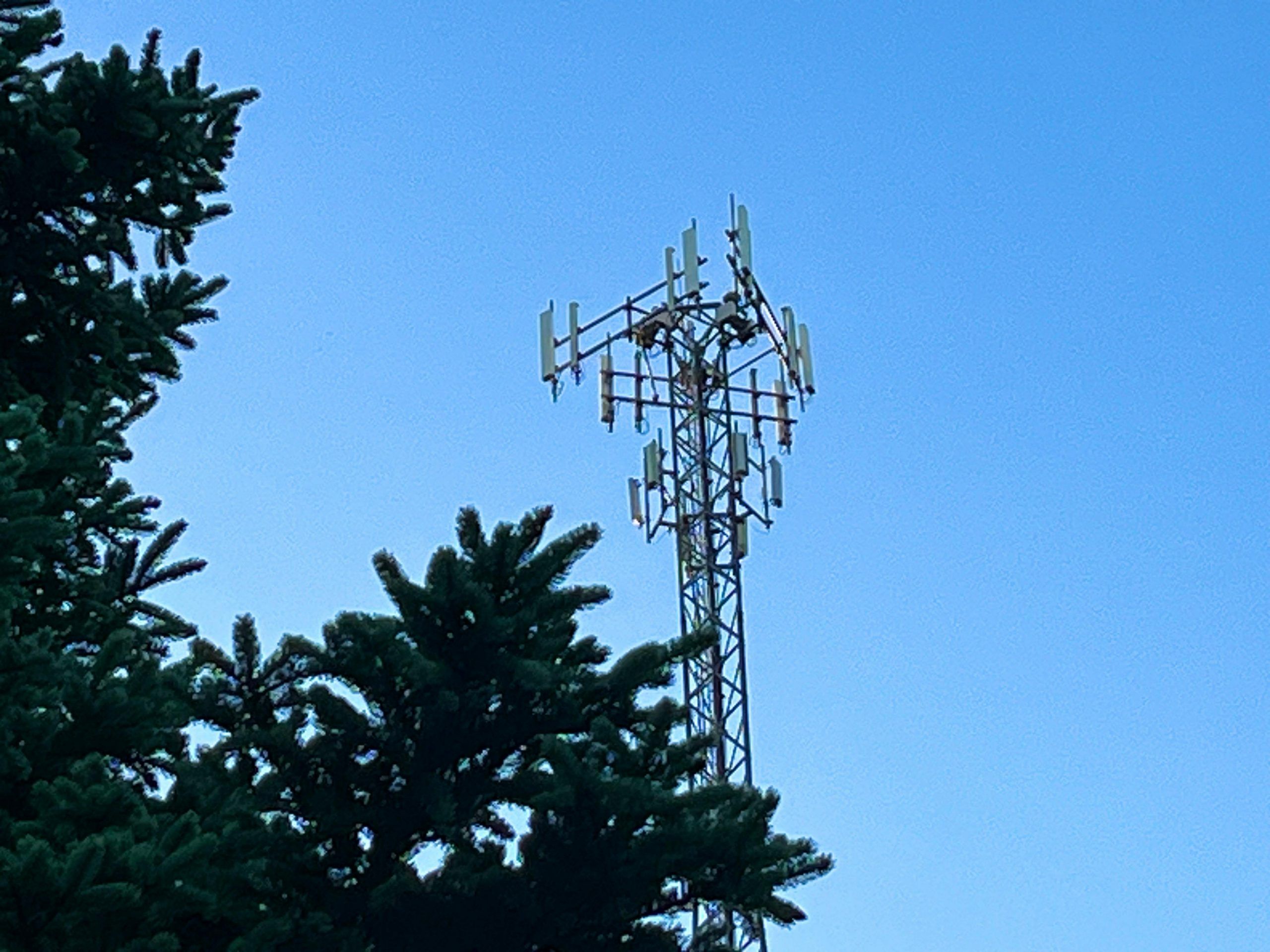 Improvements on the horizon: Cell service should be better in 2025 in ...