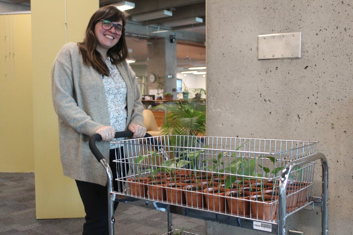 Improving student's mental health with plants at NSCC Truro Campus ...