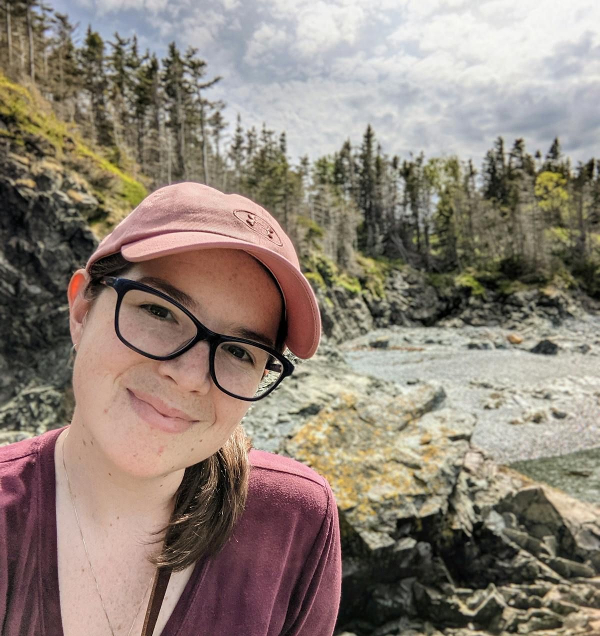 Work of graduate of GIS program at CNA in Corner Brook helped map the ...