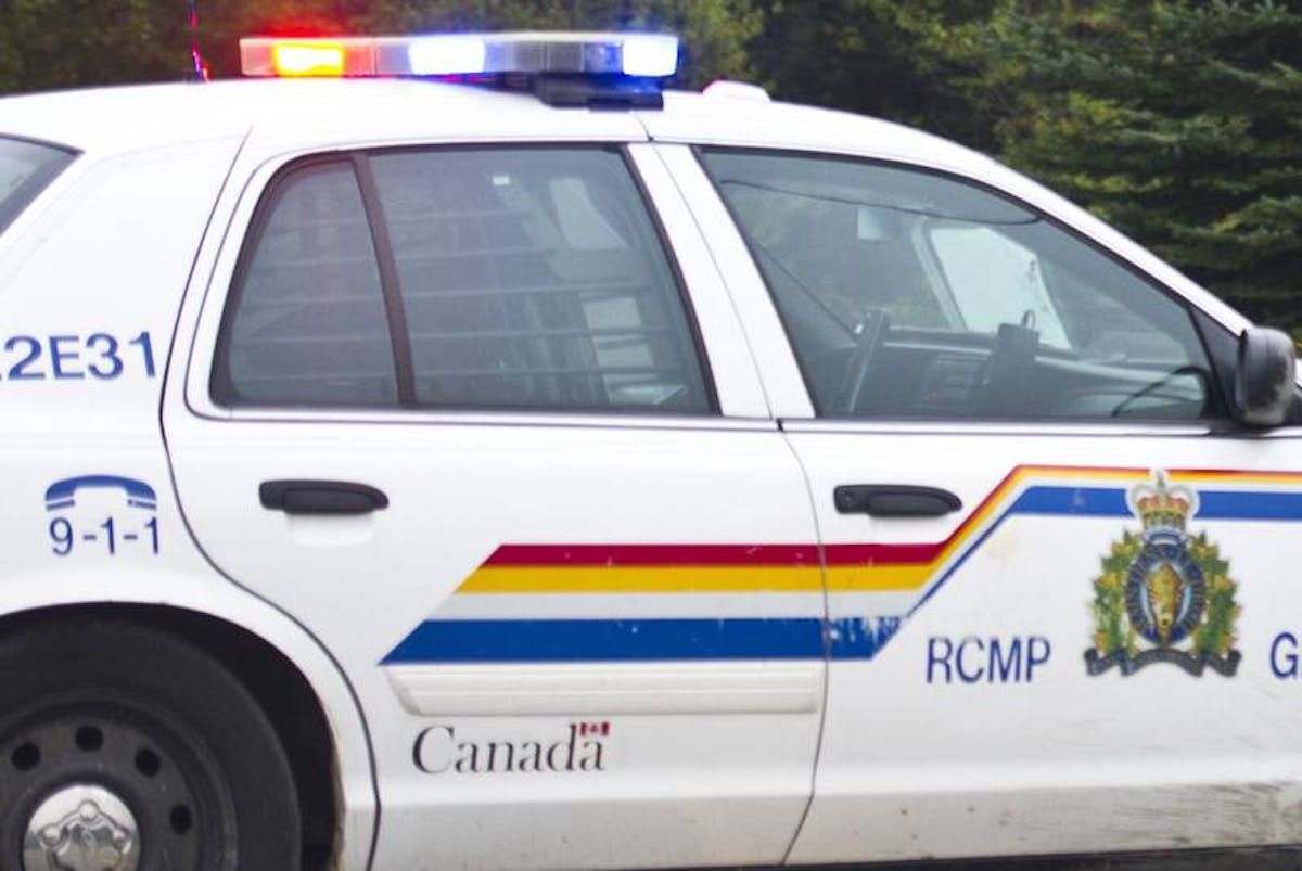 Central Newfoundland RCMP investigating fatal vehicle crash west of ...