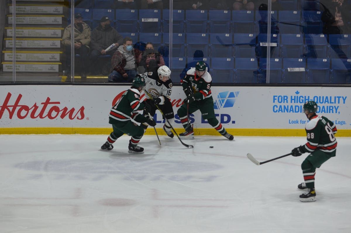 Islanders, Mooseheads continue hectic schedules this weekend | PNI ...