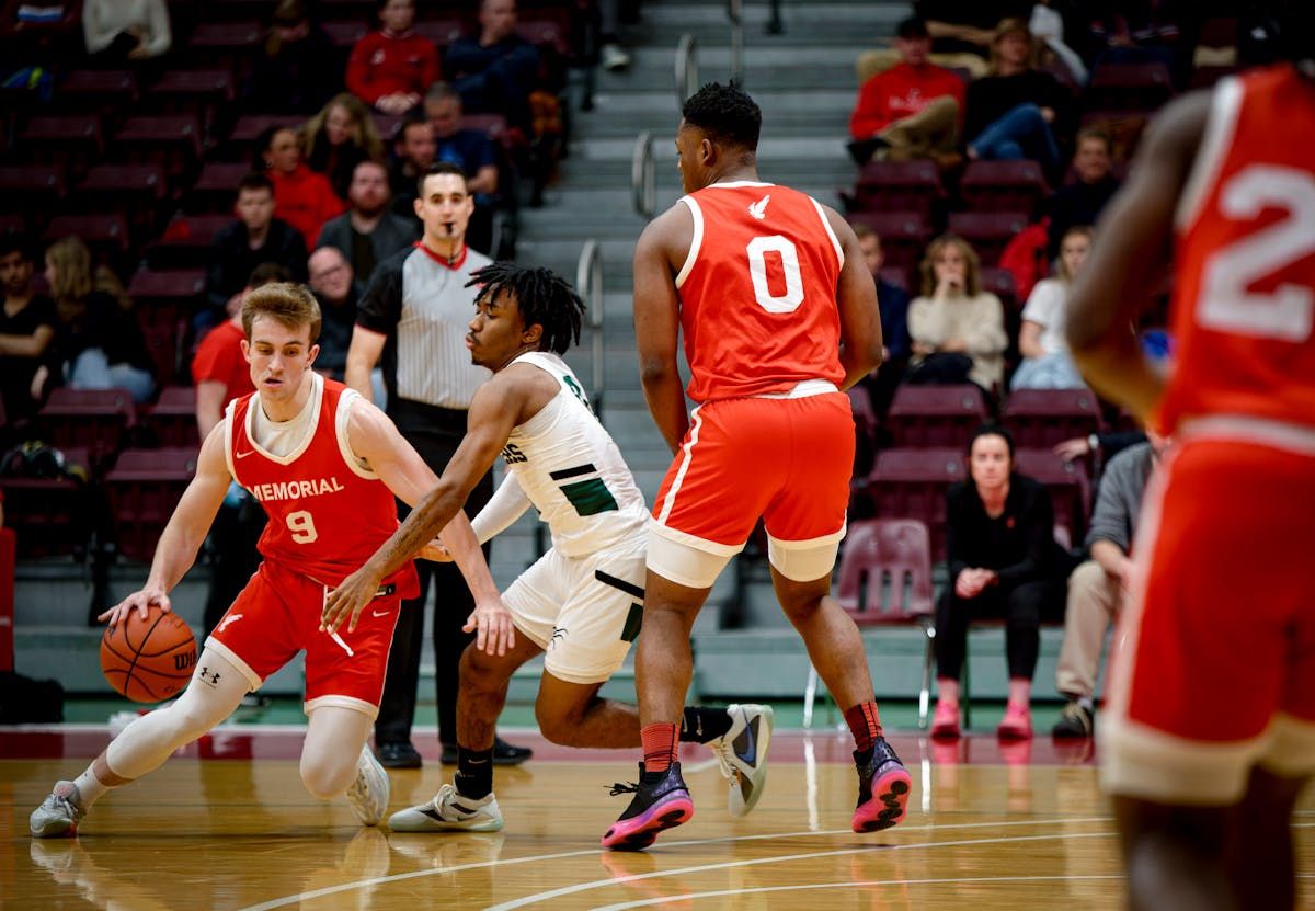‘It was a great feeling’: St. John’s native Josh Reimer is happy to be ...