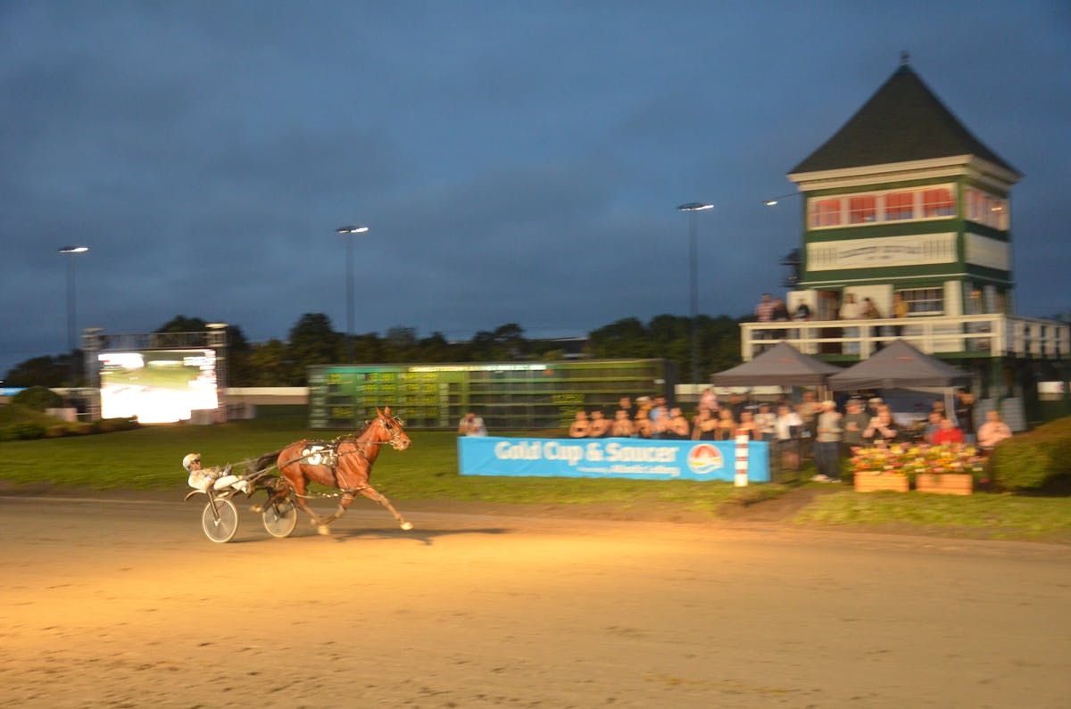 FIDDLER'S FACTS: Greatest field ever contests Gold Cup and Saucer | PNI ...