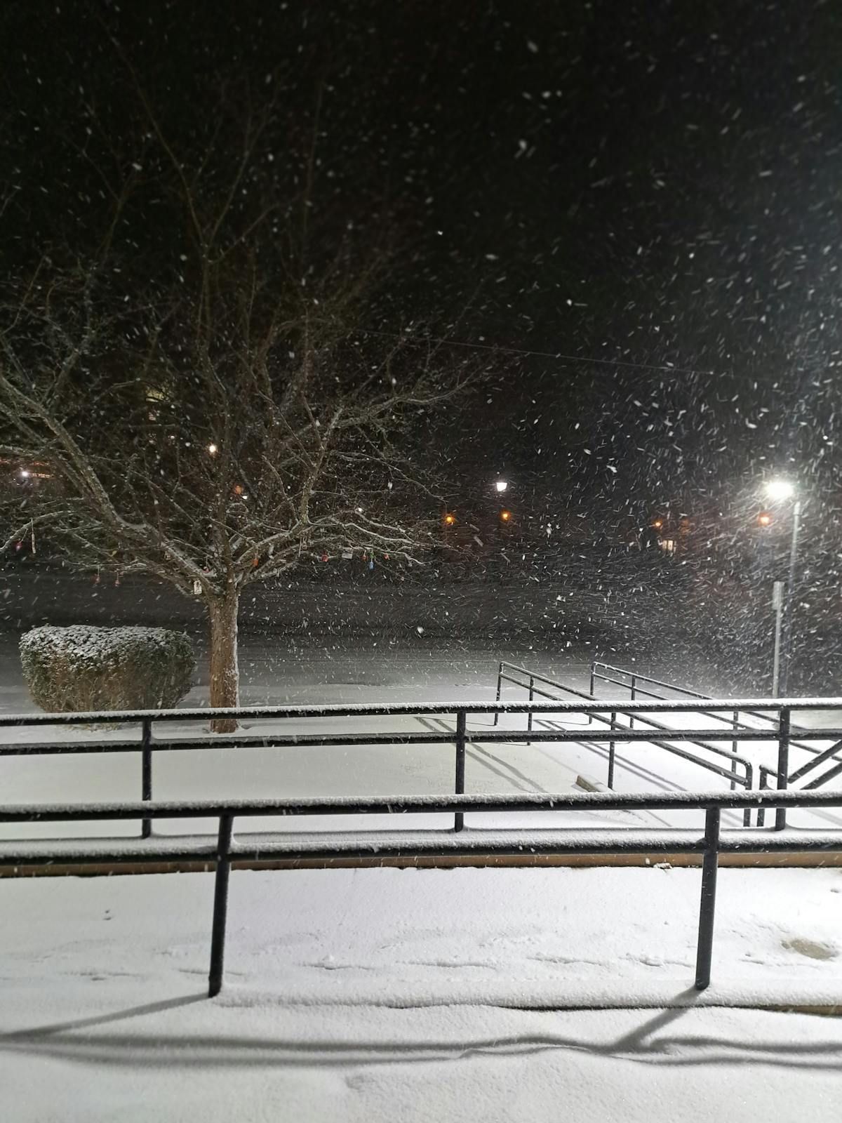 WEATHER PHOTO: Snowy scene in Charlottetown, P.E.I. | PNI Atlantic News