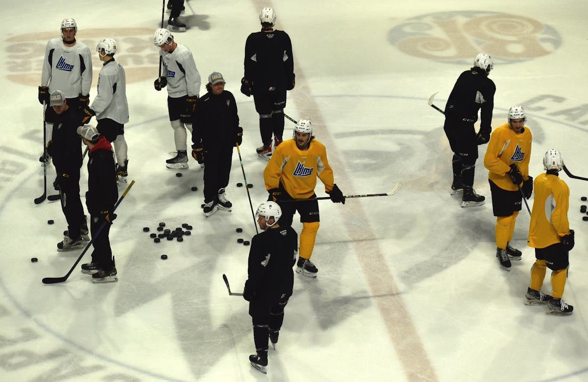 JEREMY FRASER: Cape Breton Eagles need stability at head coach position ...