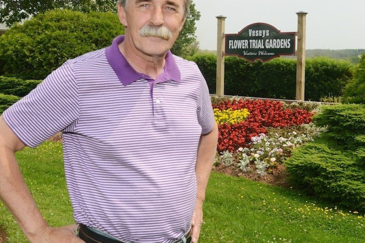 Veseys matches gift of tulips by Dutch royals during Second World War ...