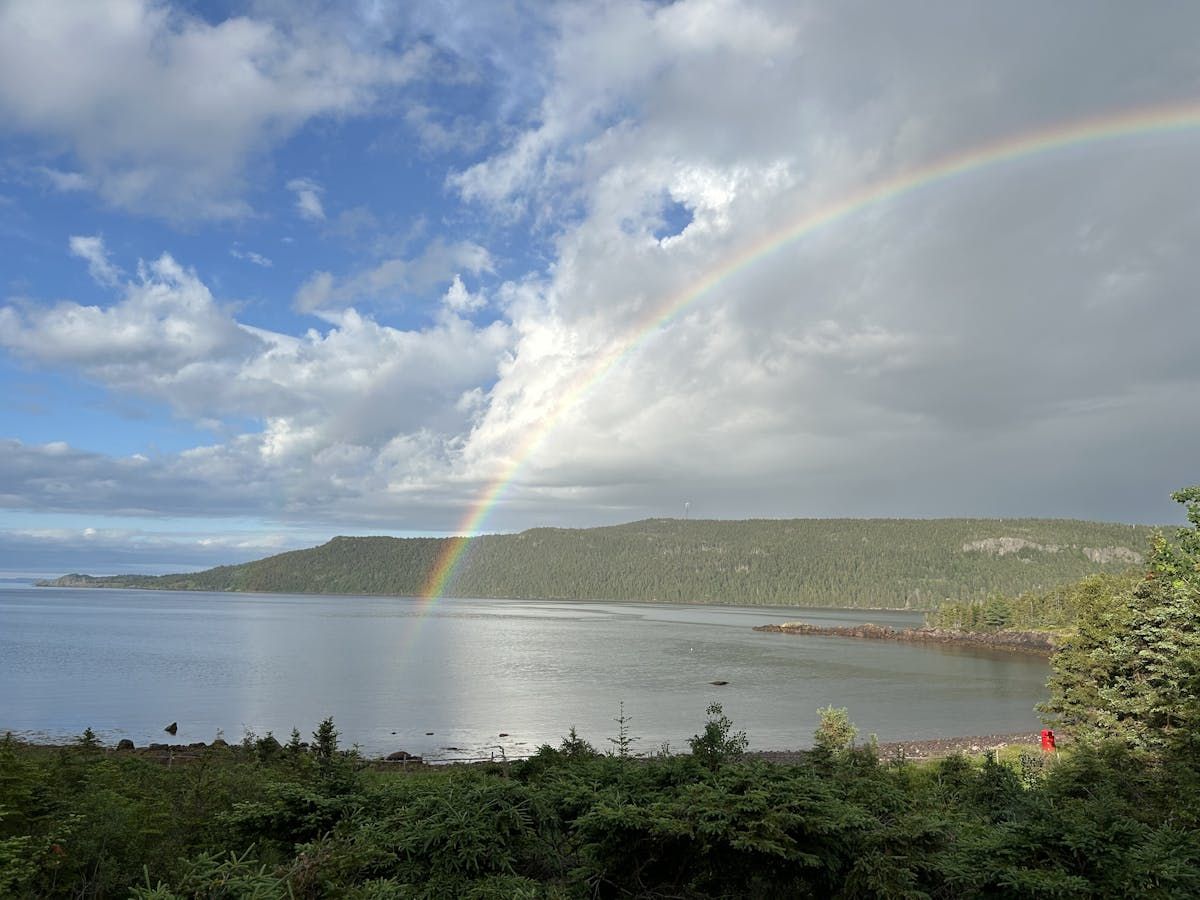 WEATHER PHOTO: Rainbow over the cove in Avondale, N.L. | PNI Atlantic News