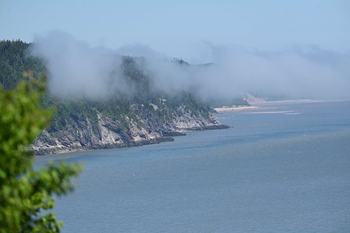 WEATHER PHOTO: Coastal fog near Alma, N.B. | PNI Atlantic News