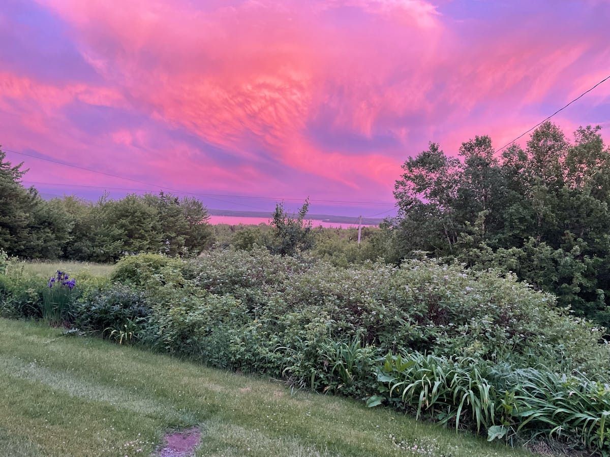 WEATHER PHOTO: Cotton candy sky in Whycocomagh, N.S. | PNI Atlantic News