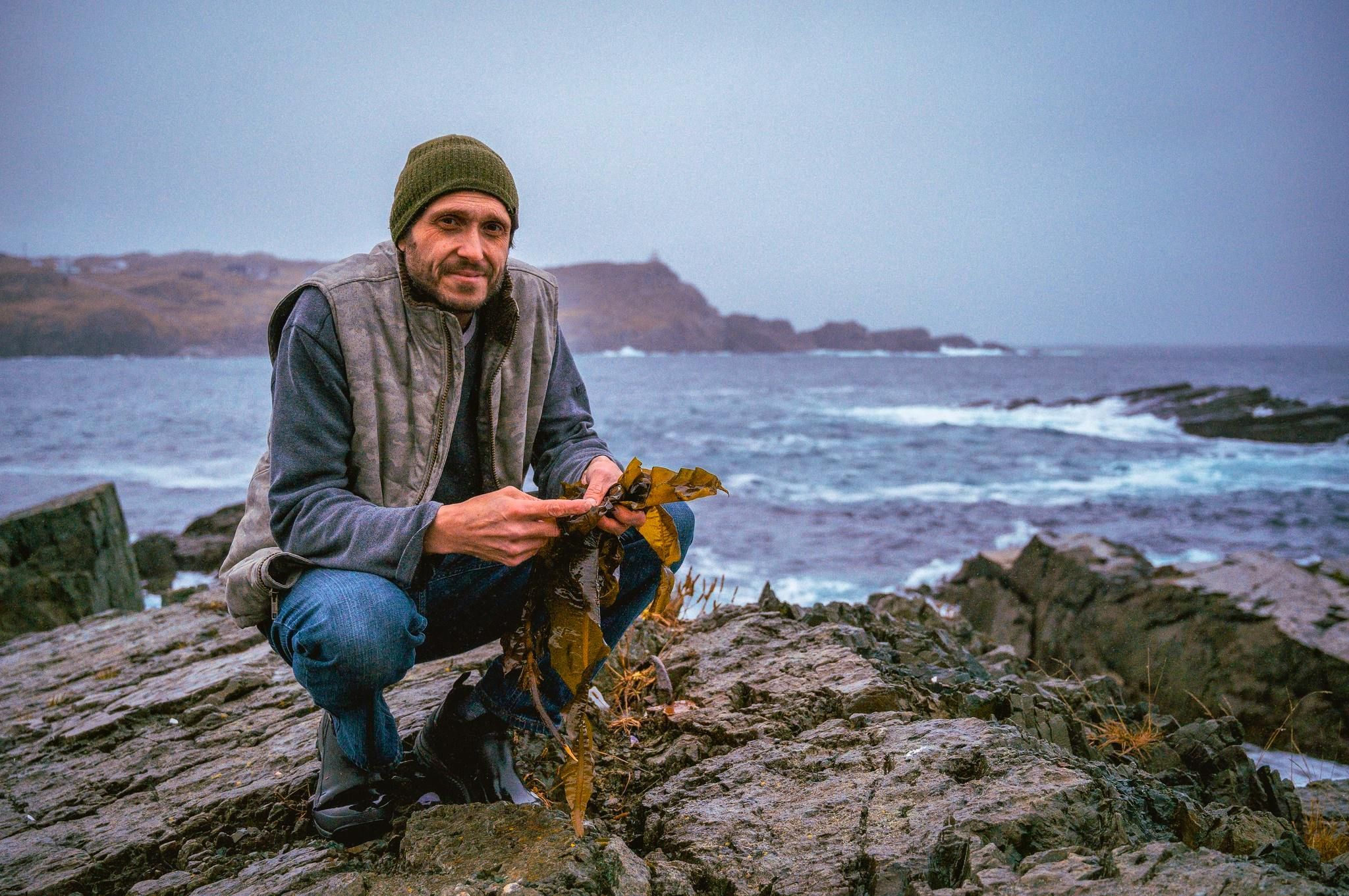 Kelp wanted: Newfoundland and Labrador’s fledgling seaweed industry looking to grow beyond its ...