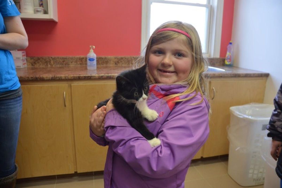 SPCA opens doors to Waterville shelter during province-wide open house ...