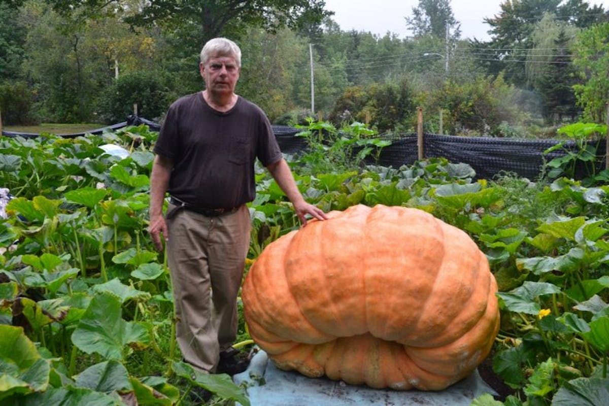 Valley giant vegetable grower ready for Waterville competition, weigh ...