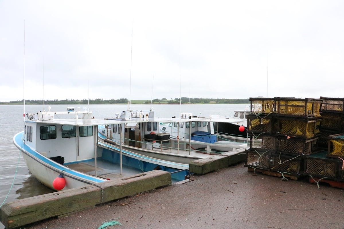 Lennox Island, P.E.I. wharf may soon get much needed expansion | PNI ...
