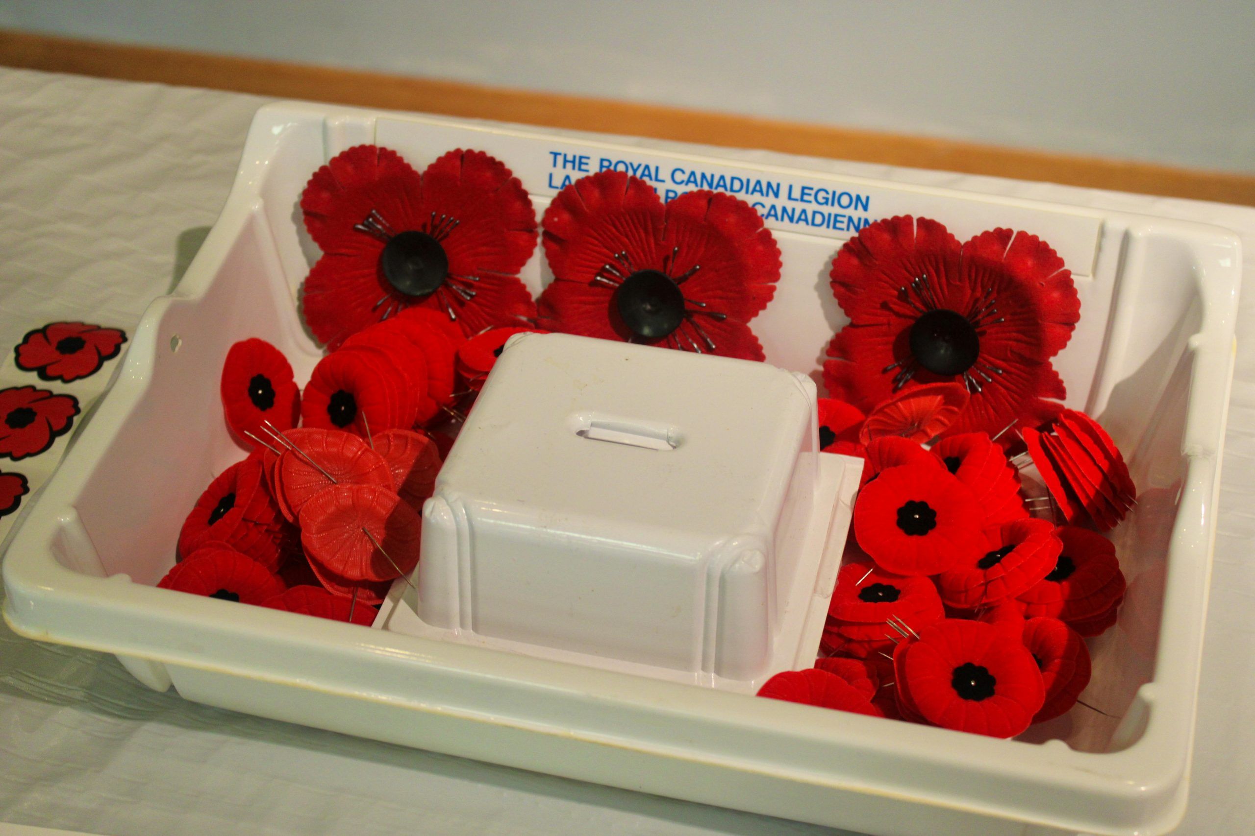 IN PHOTO: First poppy of 2024 pinned on CBRM mayor | PNI Atlantic News