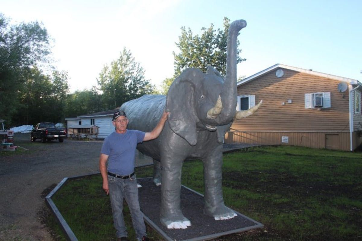 Edward and his elephant | PNI Atlantic News