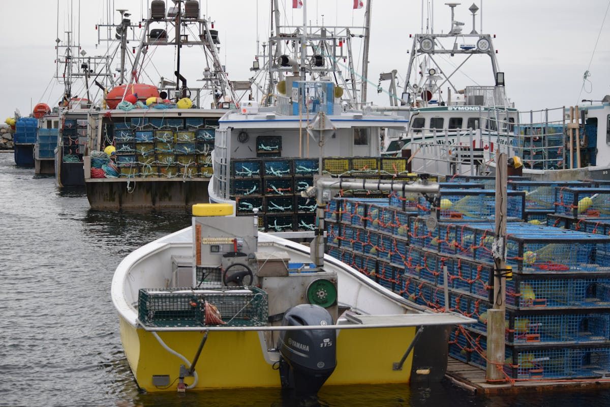 LFA 34 lobster season opener still on hold | PNI Atlantic News