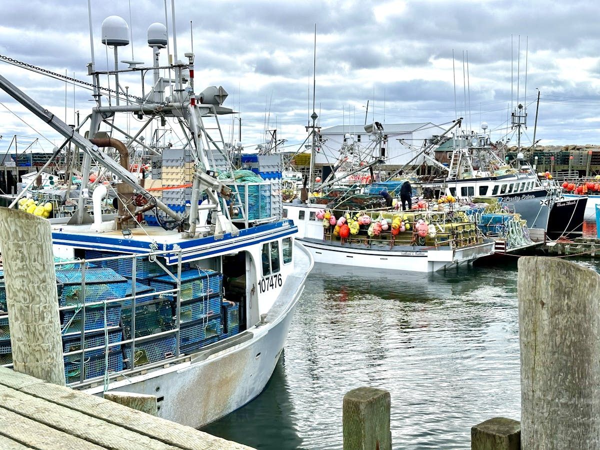 LFA 34 lobster season opening in southwestern N.S. on Dec. 2 after 5 ...