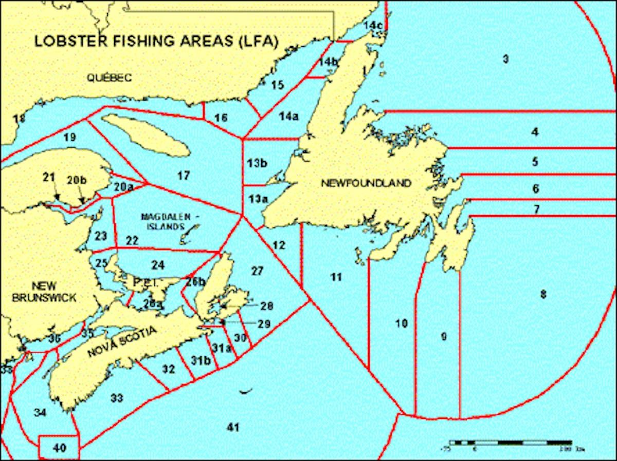 New lobster fishing start date awaited in one southwestern zone | PNI ...