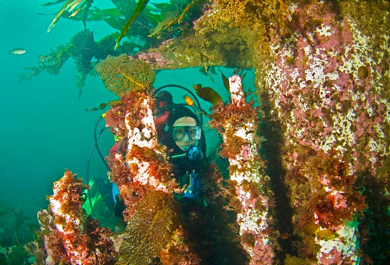 'It put a human angle on it for me': Atlantic Canadians exploring the ...