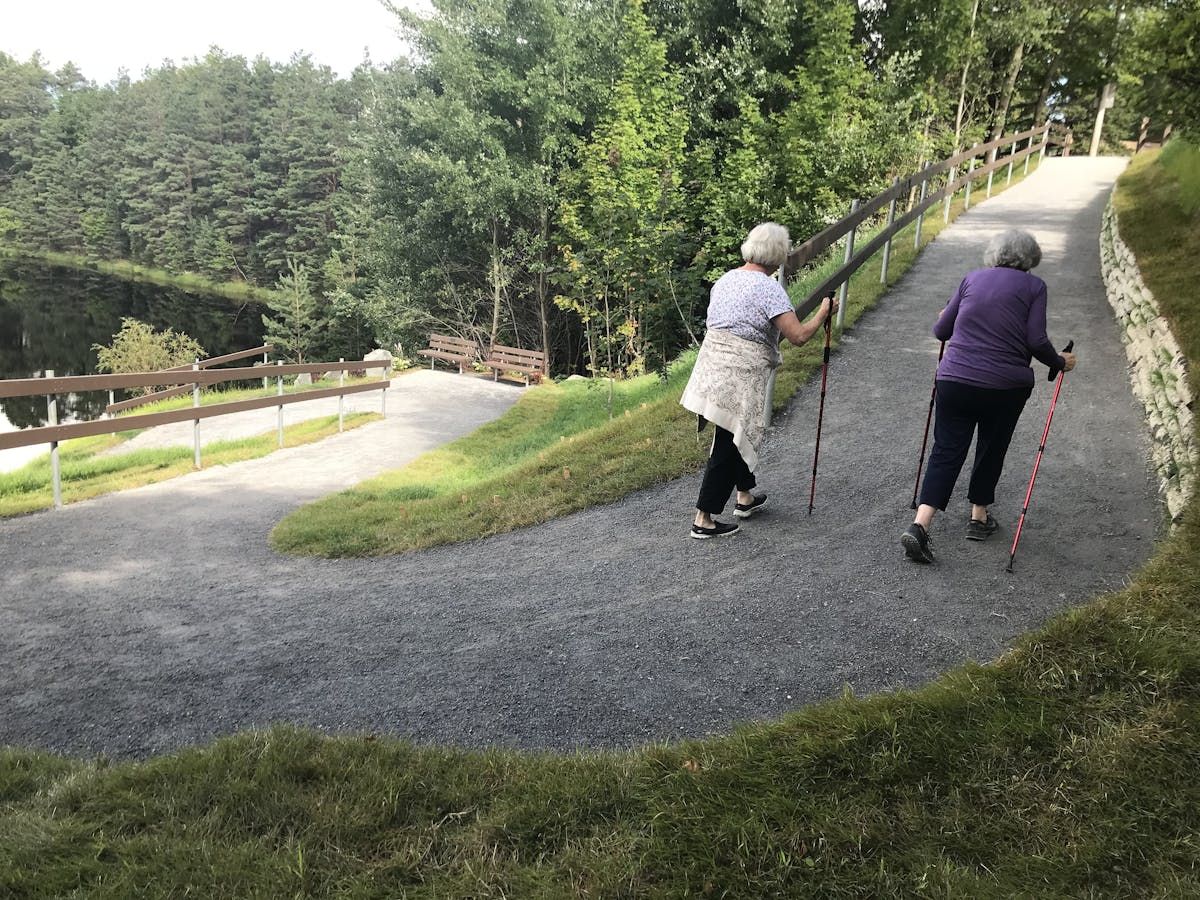Making the switch: New, more accessible entrance to Corner Brook Stream ...