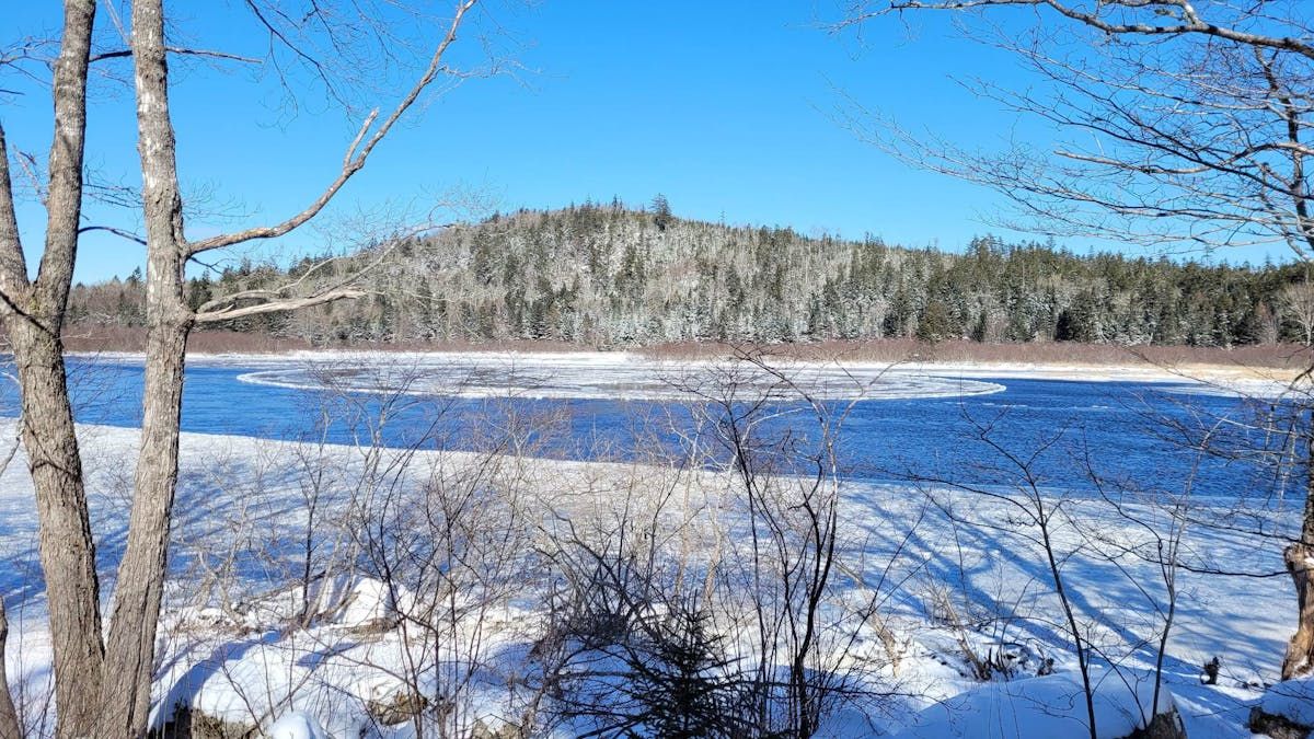 ASK ALLISTER: The science behind an ice disk formation on a Nova Scotia ...