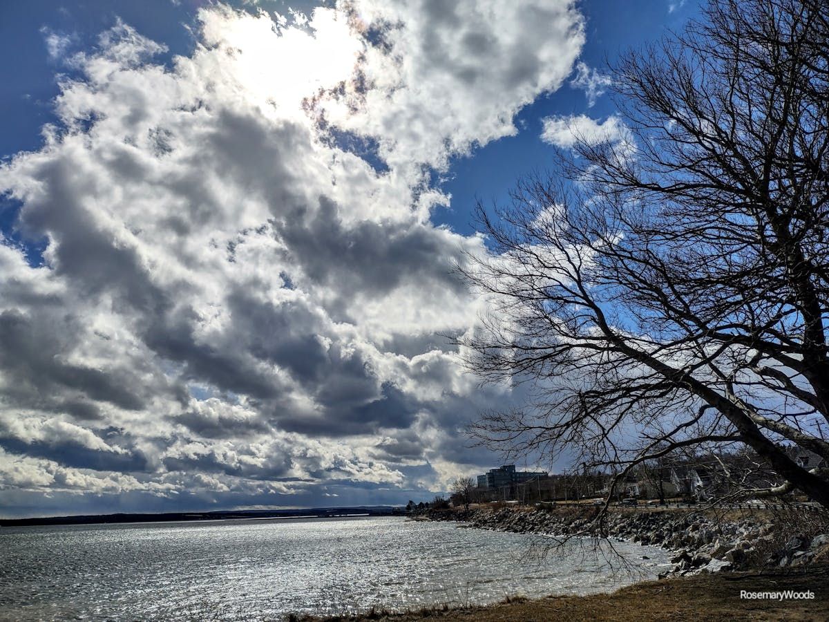 WEATHER PHOTO: Early spring weather in Sydney Mines, N.S. | PNI ...