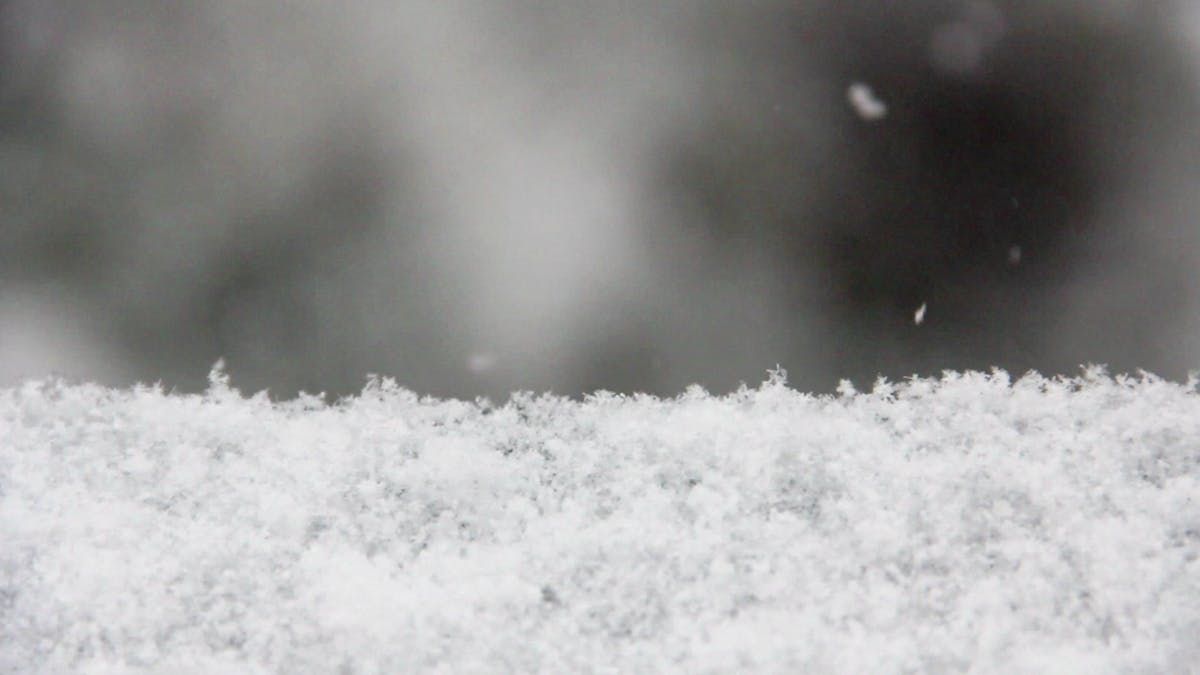 ASK ALLISTER: What’s the difference between snow flurries and snow showers? | PNI Atlantic News