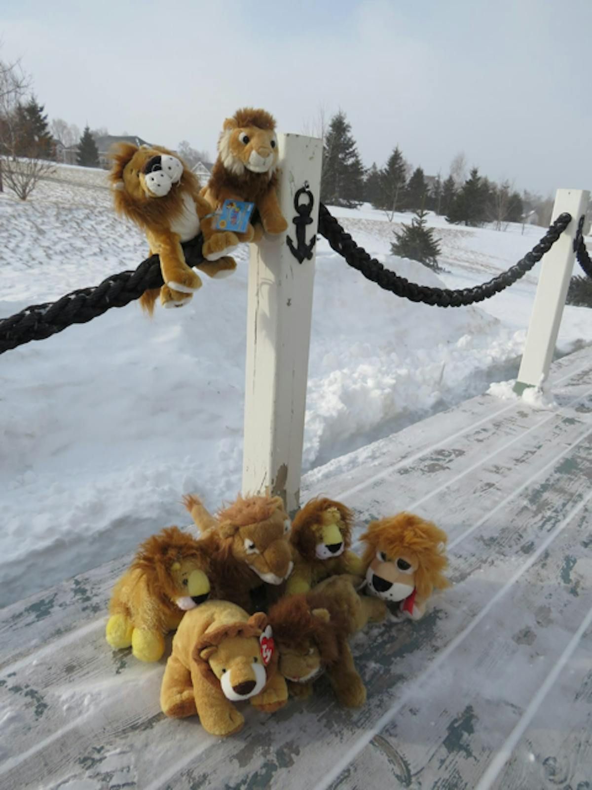 In like a lion, out like a lamb? The origin of March’s famous weather ...