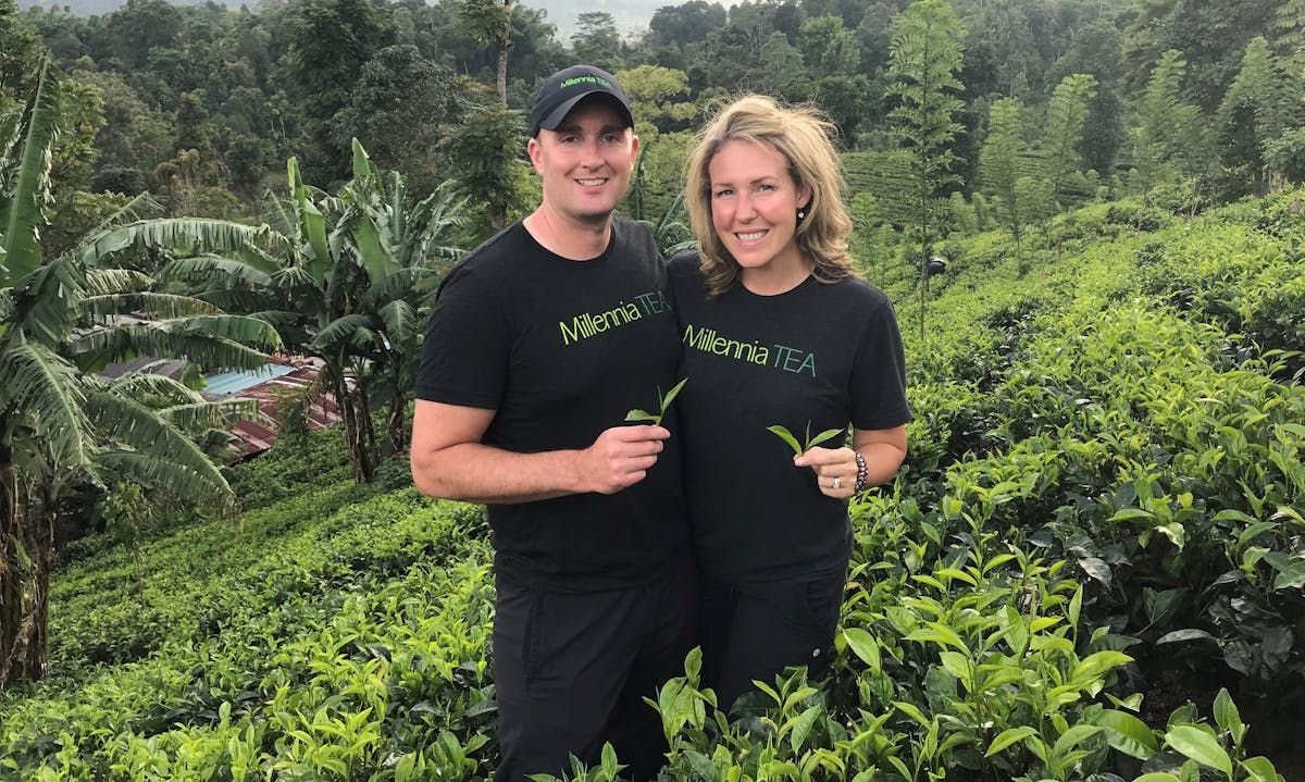 MARK DeWOLF: New Brunswick's Millennia TEA is a category disruptor ...