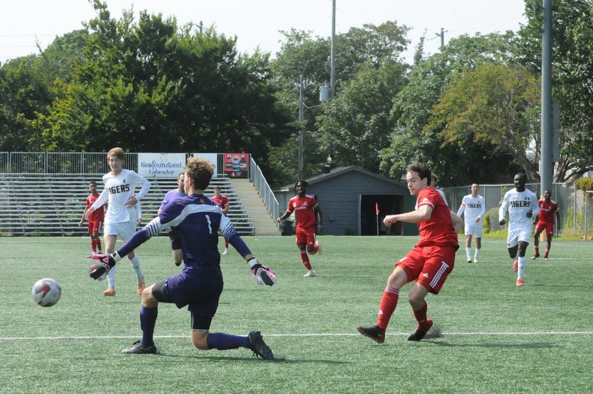 NL Soccer Association recognizes its best of 2024 | PNI Atlantic News