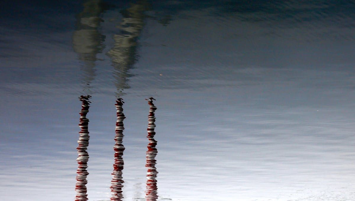 MICHELLE ROBICHAUD: Nova Scotia's interference with regulator saps ...