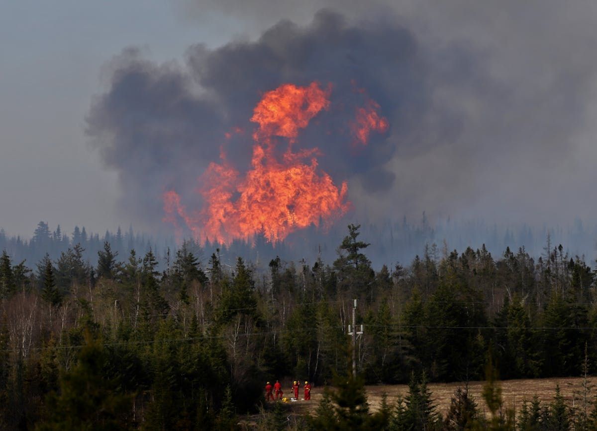 Nova Scotia wildfire season and burning restrictions start Friday with ...