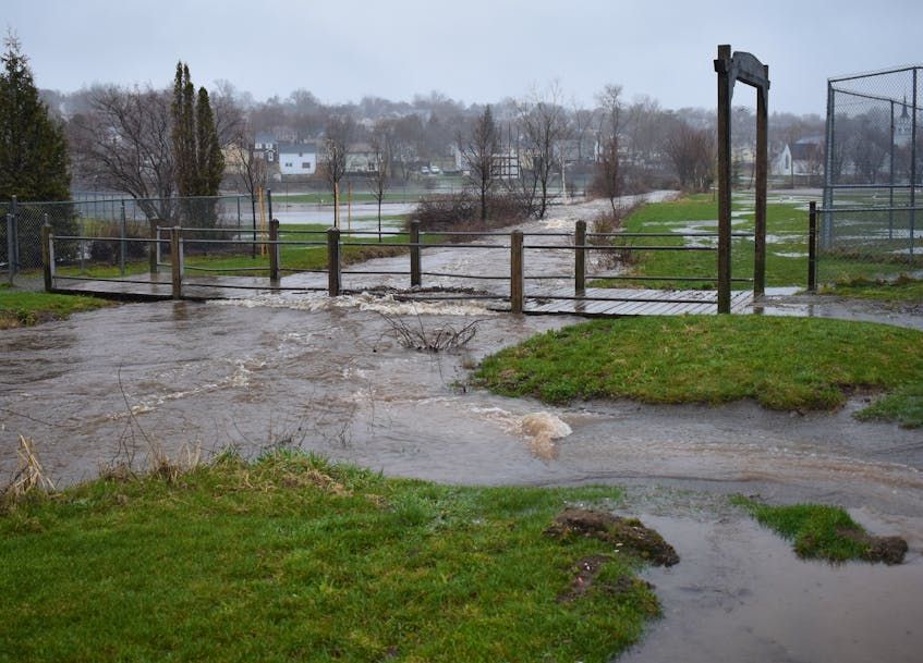 ACAP Cape Breton to host tree planting event in south end of Sydney ...